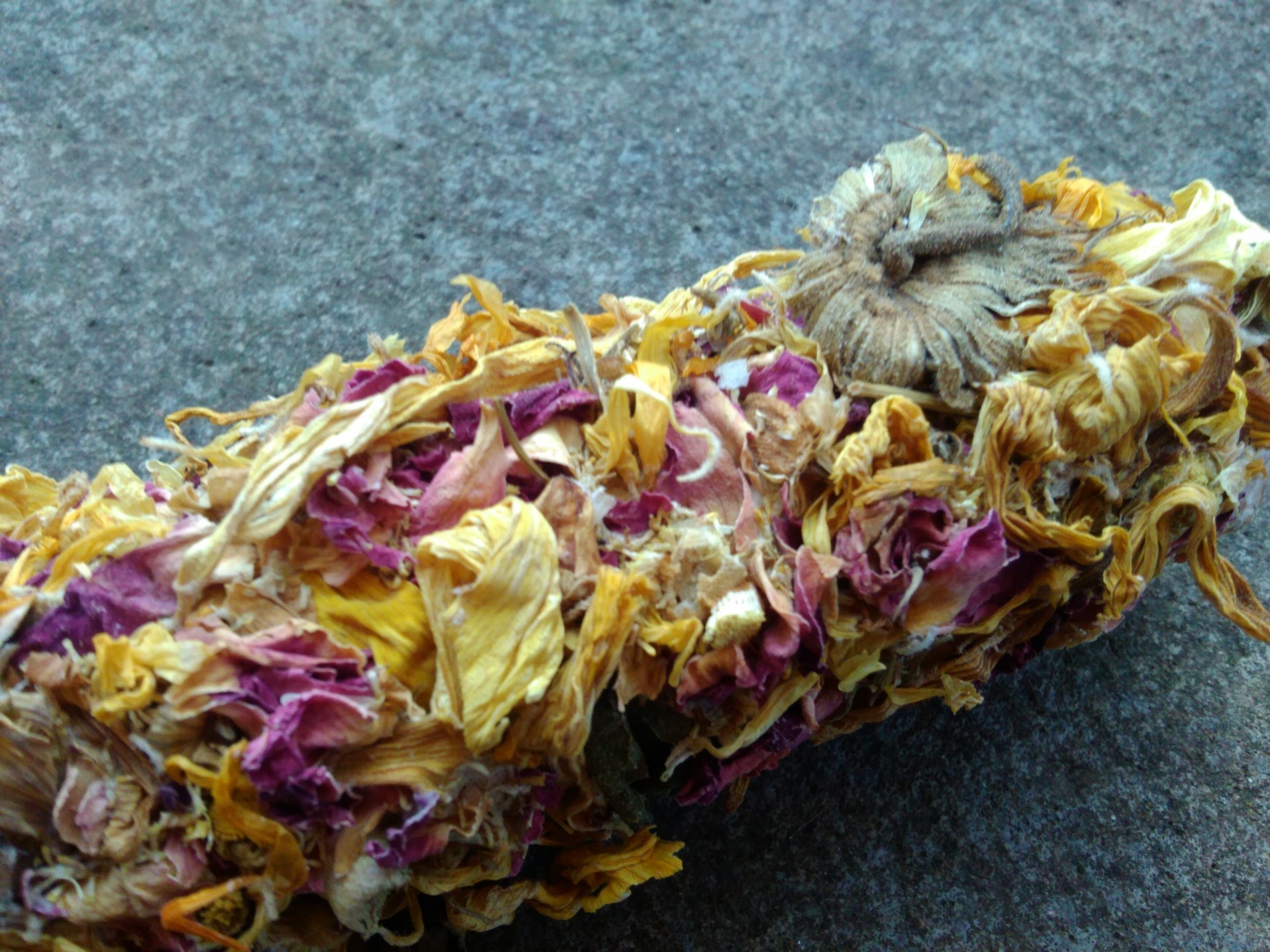 How To Take Care Of A Gerbil – The Dalliances – Rodent Zone